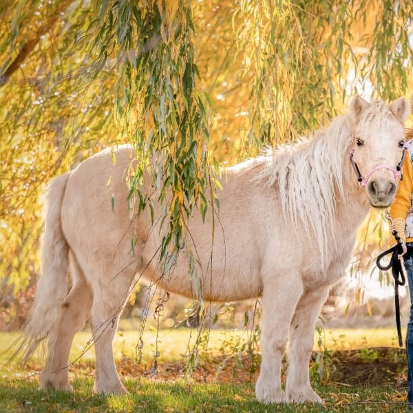 Home Page - Nation Valley Ranch